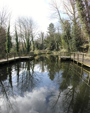 Waterlow Park - Woodland Trust