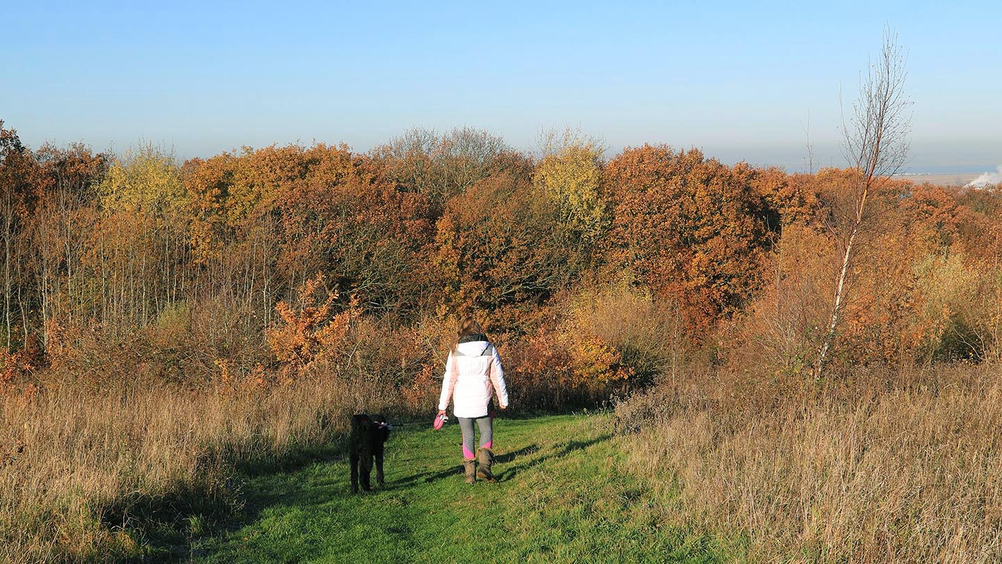 Victory Wood - Visiting Woods - Woodland Trust
