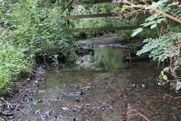 Long Wood - Woodland Trust
