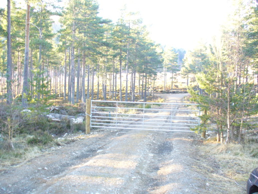 Invercauld Estates - Woodland Trust