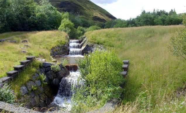 Gilfach Goch Wood - Woodland Trust