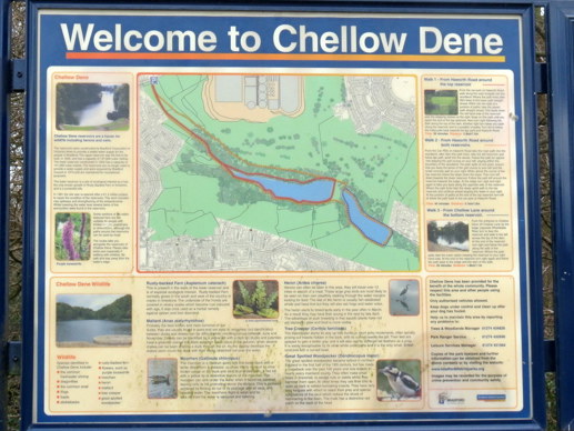 Chellow Dean - Woodland Trust