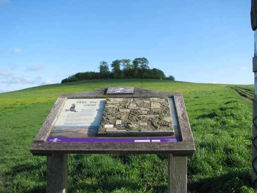 Wittenham Clumps - Woodland Trust