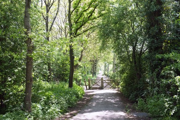 Wheelock Rail Trail - Woodland Trust