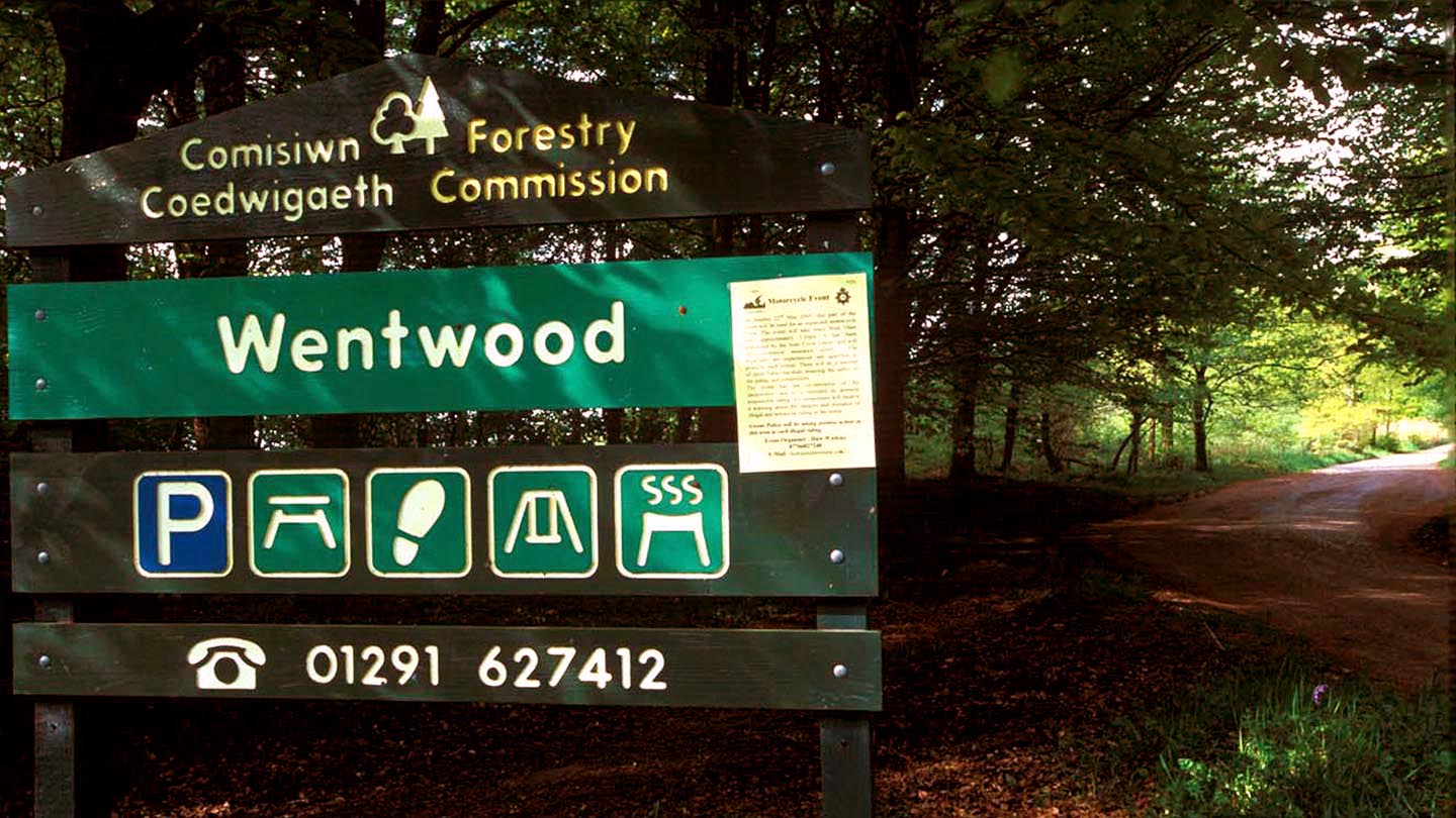 Wentwood - Visiting Woods - Woodland Trust