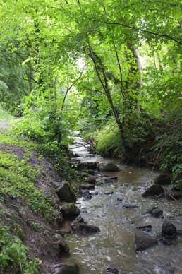 Timbersbrook Picnic Area - Woodland Trust