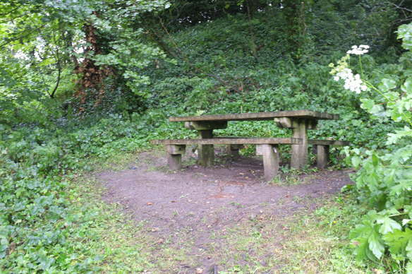 Timbersbrook Picnic Area - Woodland Trust