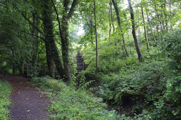 Timbersbrook Picnic Area - Woodland Trust