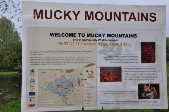 Mucky Mountains Nature Reserve - Woodland Trust