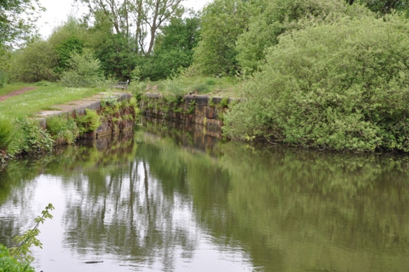 Mucky Mountains Nature Reserve - Woodland Trust