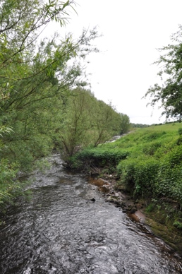 Mucky Mountains Nature Reserve - Woodland Trust
