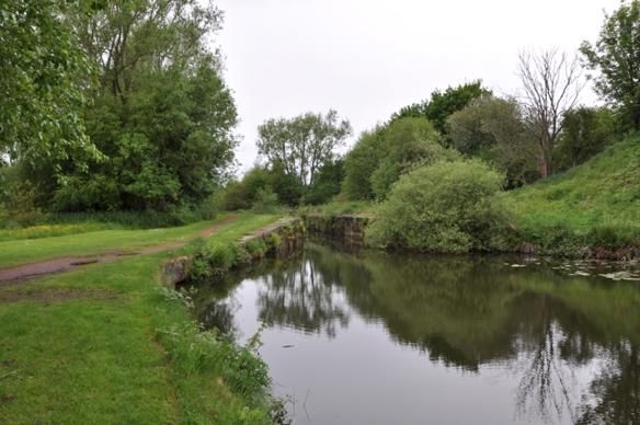 Mucky Mountains Nature Reserve - Woodland Trust