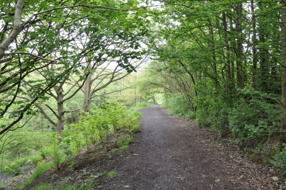 Mucky Mountains Nature Reserve - Woodland Trust