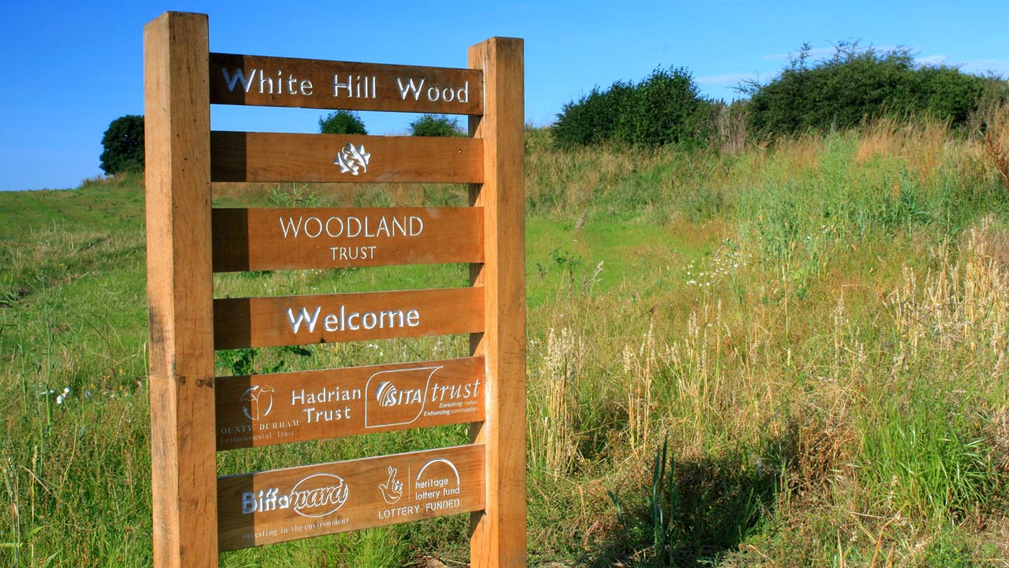 White Hill Woods - Visiting Woods - Woodland Trust