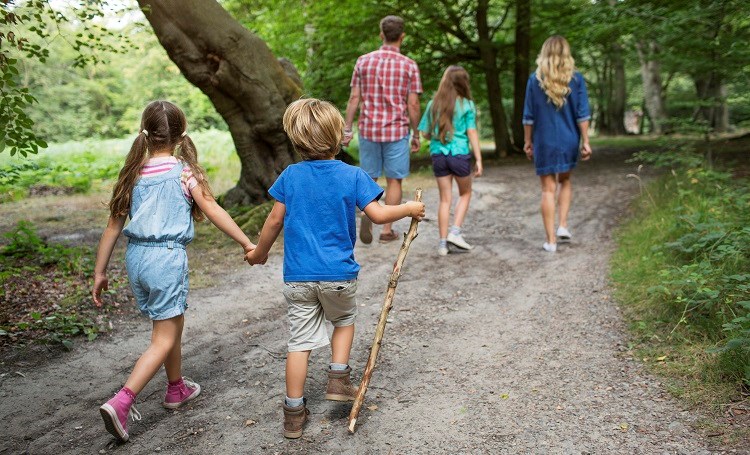 Outdoor summer holiday activities for kids - Woodland Trust