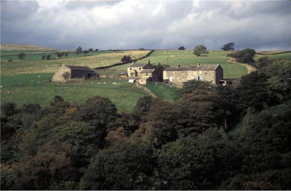Gillbeck Farm Wood - Woodland Trust