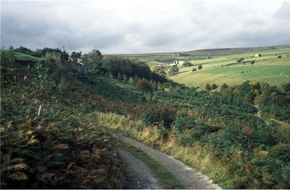 Gillbeck Farm Wood - Woodland Trust