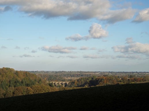Pentre Wood - Woodland Trust
