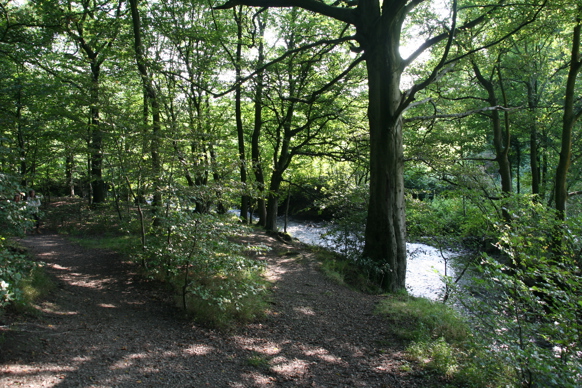 Swarthmoor Hall Wood - Woodland Trust