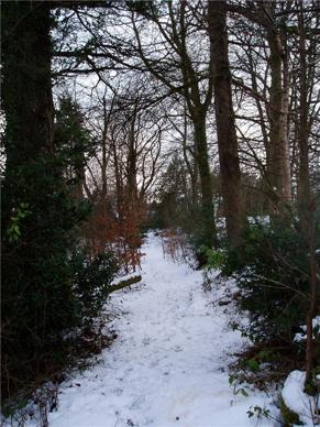 Stevney Spinney - Woodland Trust