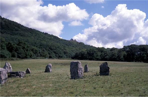Graig Fawr - Visiting Woods - Woodland Trust