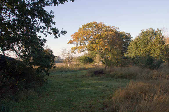 Three Gates Farm - Woodland Trust