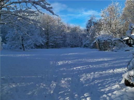 Whittle Dene - Woodland Trust
