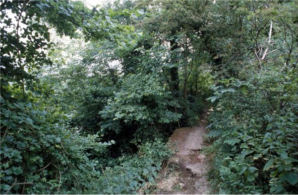 Churchdown Hill - Woodland Trust