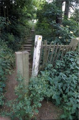 Churchdown Hill - Woodland Trust