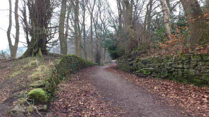 Sycamore Grove - Woodland Trust