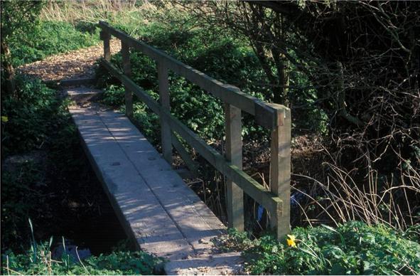 White Ponds - Woodland Trust