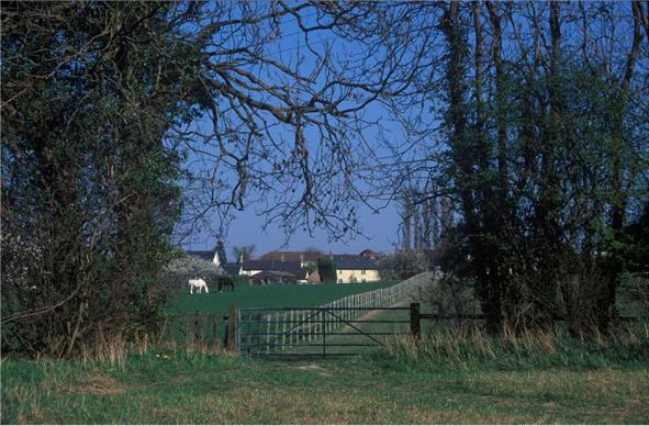 White Ponds - Woodland Trust