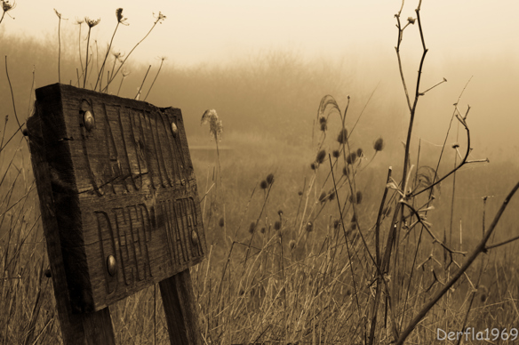 Gault Wood - Woodland Trust