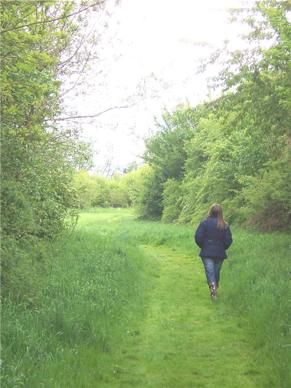 Gault Wood - Woodland Trust