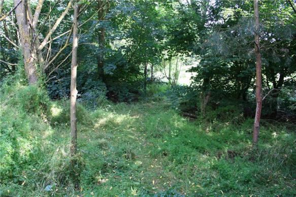 Gault Wood - Woodland Trust