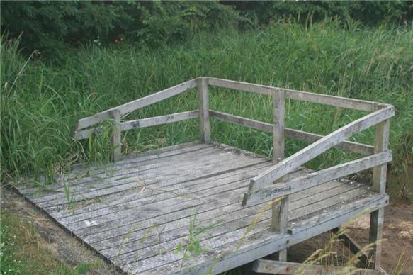 Gault Wood - Woodland Trust