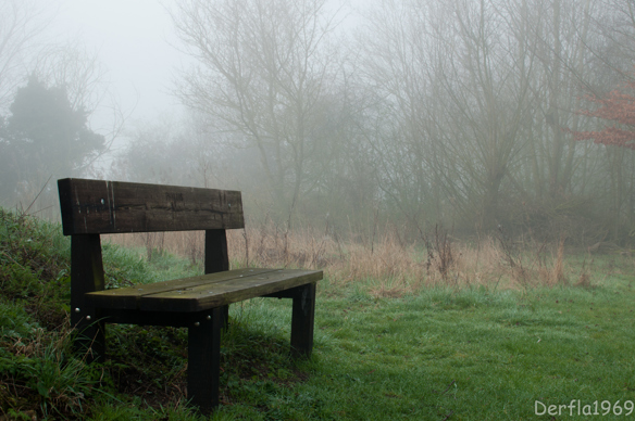 Gault Wood - Woodland Trust