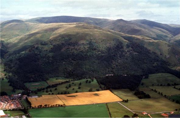 Wood Hill Wood - Woodland Trust