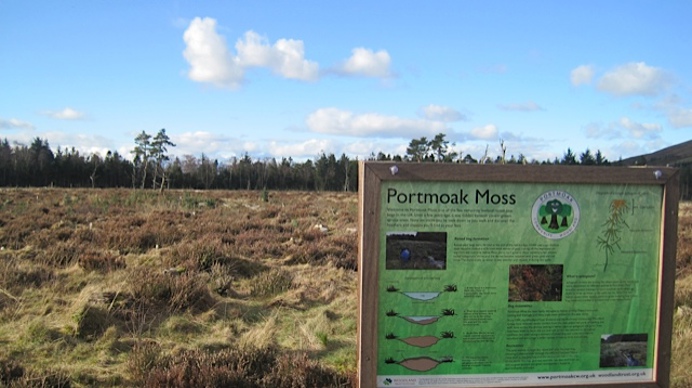 Portmoak Moss - Woodland Trust