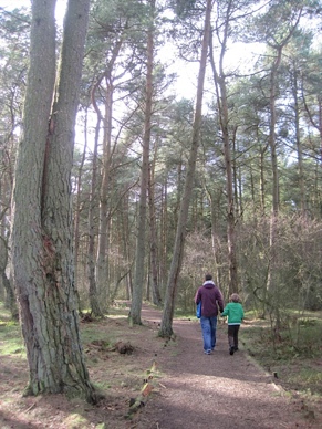 Portmoak Moss - Woodland Trust