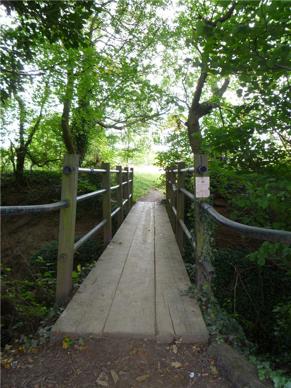 Bonney Doles - Woodland Trust