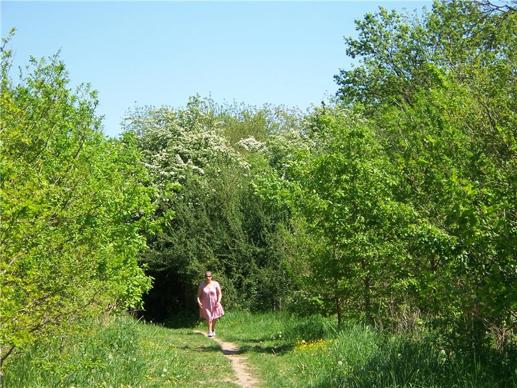 Bonney Doles - Woodland Trust