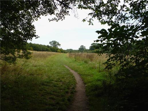 Bonney Doles - Woodland Trust