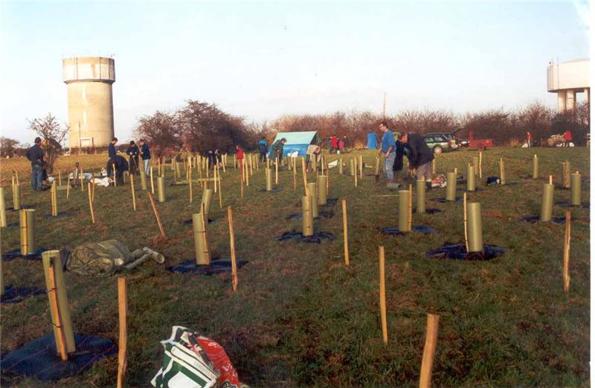 Meridian Wood - Woodland Trust