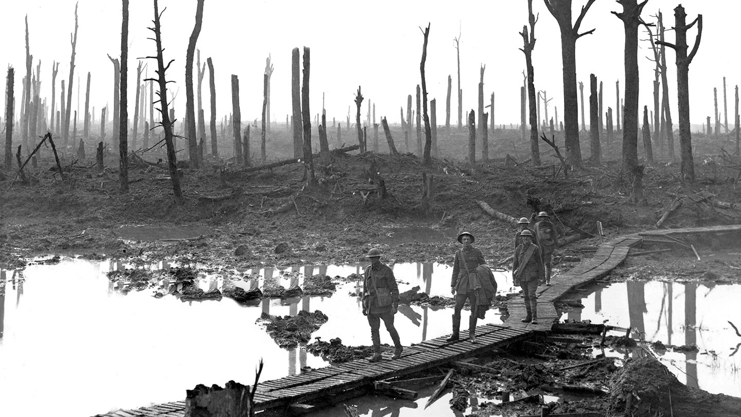 First World War Centenary Woods - Make a Donation - Woodland Trust