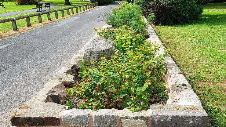 Longsight Park & Gardens - Woodland Trust