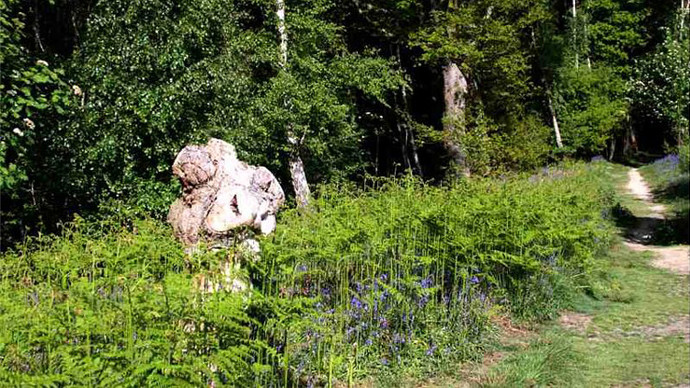 Guestling Wood - Woodland Trust