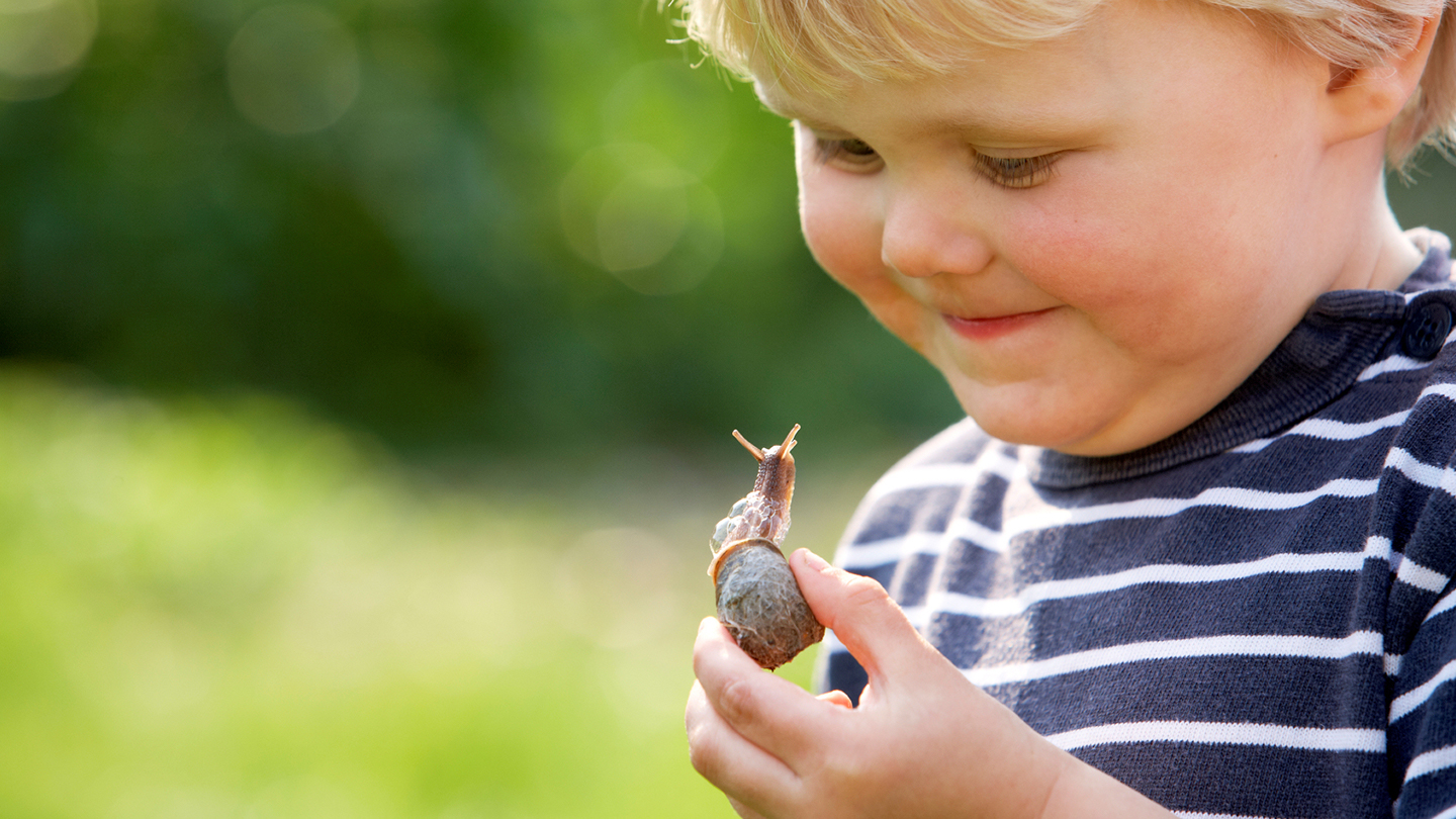 What is a Minibeast? And Other Bug Facts - Woodland Trust