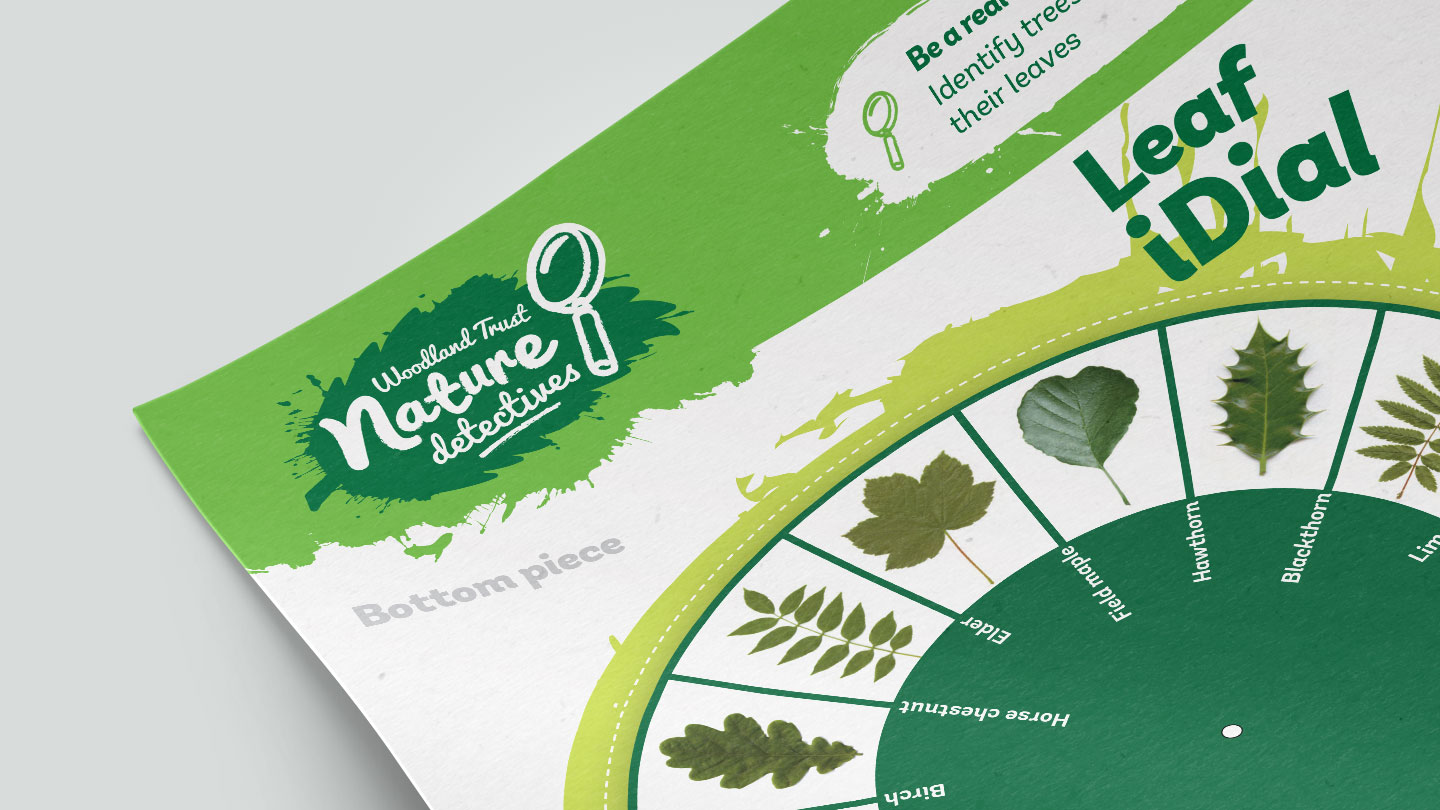 Tree ID for Kids - Nature Detectives - Woodland Trust