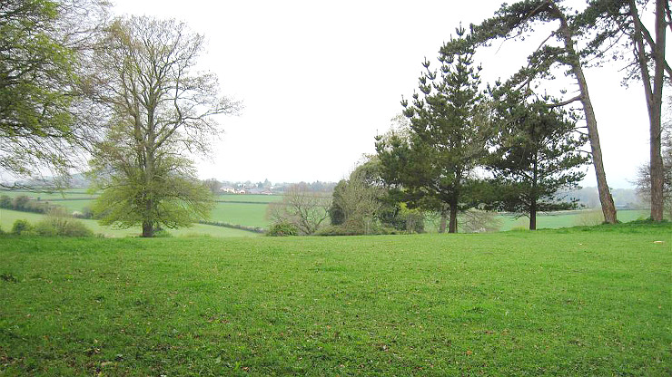 Rectory Field - Woodland Trust